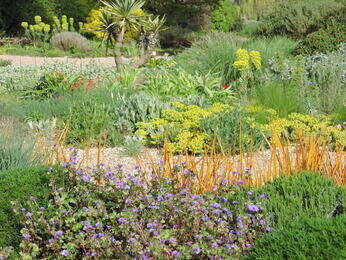 Gravel Garden Maintenance - Beth Chatto Gardens