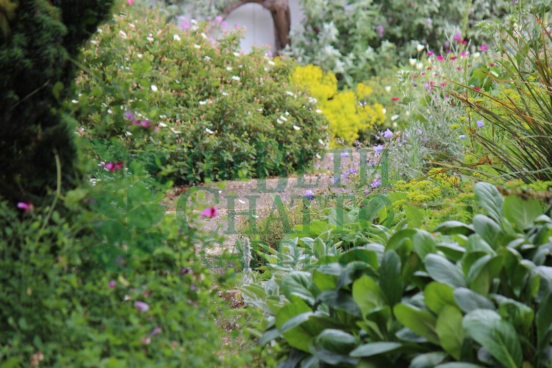 Beth Chatto's Scree Garden