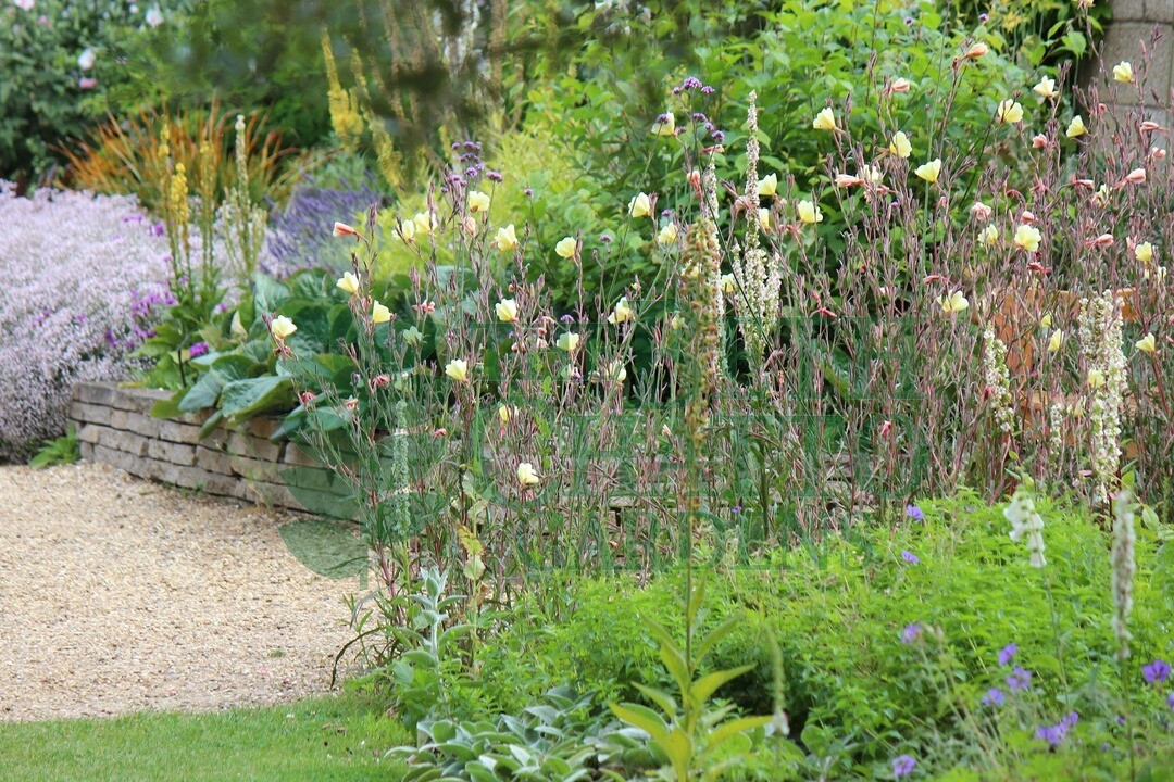 Beth Chatto's Scree Garden